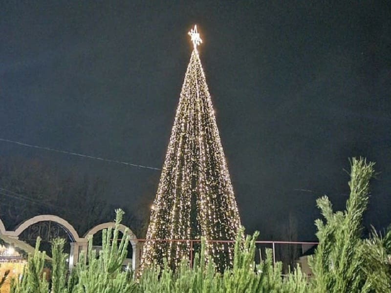 На Дону устанавливают новогодние елки